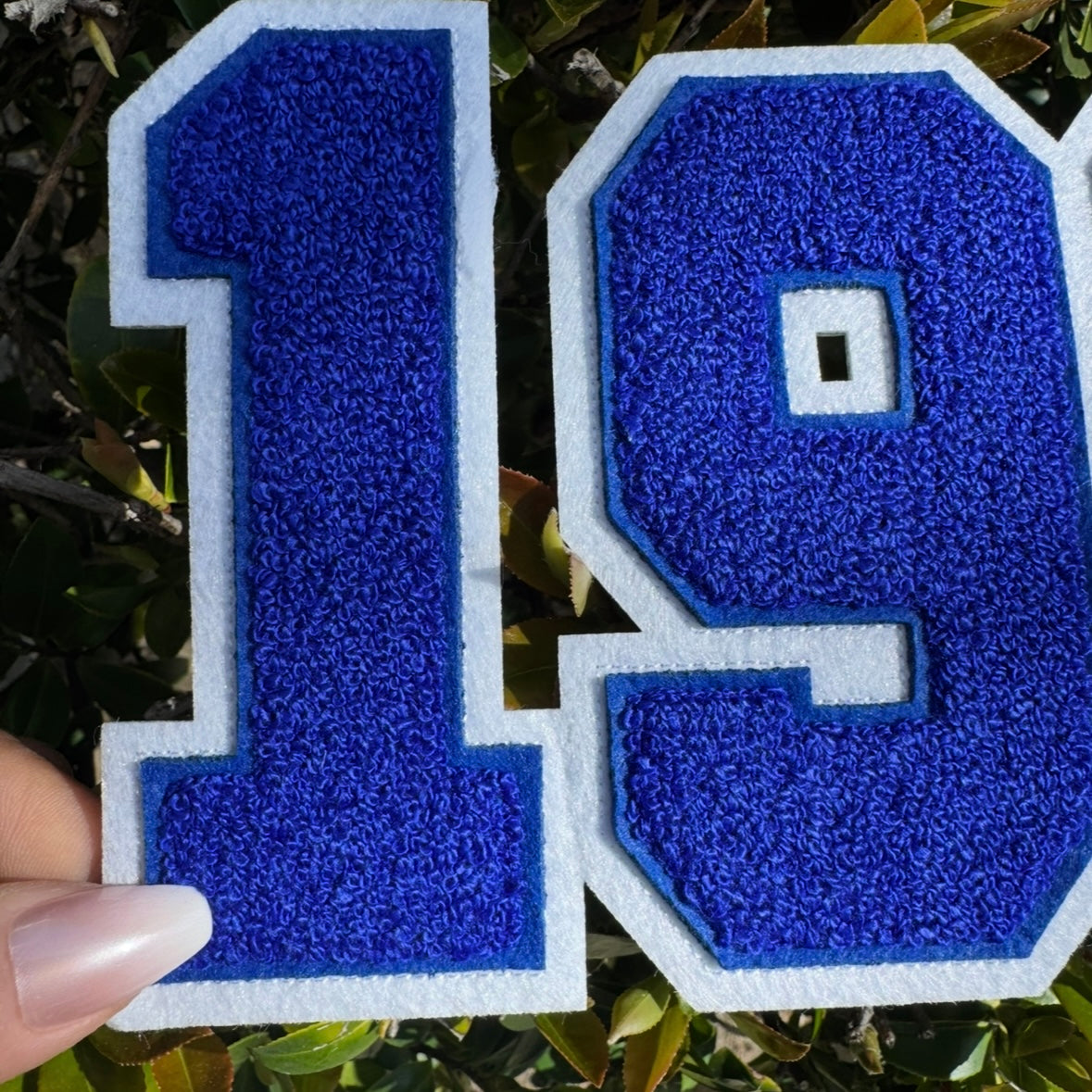 Zeta Phi Beta 1920 Founding Year Chenille Patch – Define Me Greek